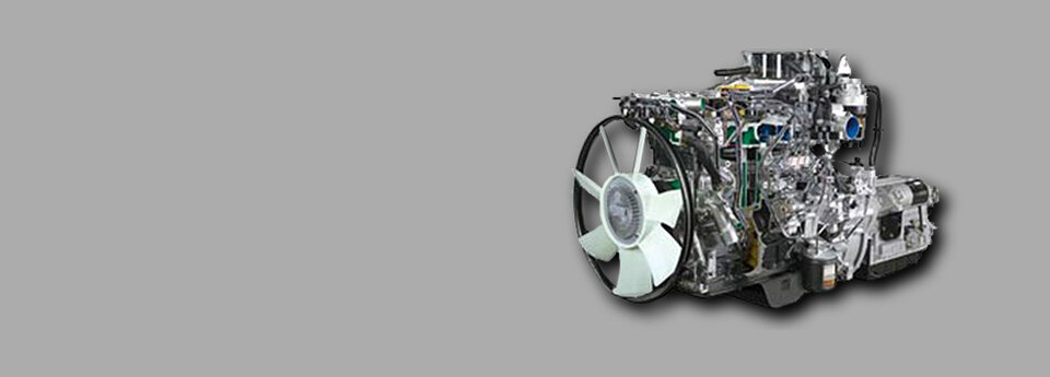 Camiones Isuzu de la Serie N a diesel